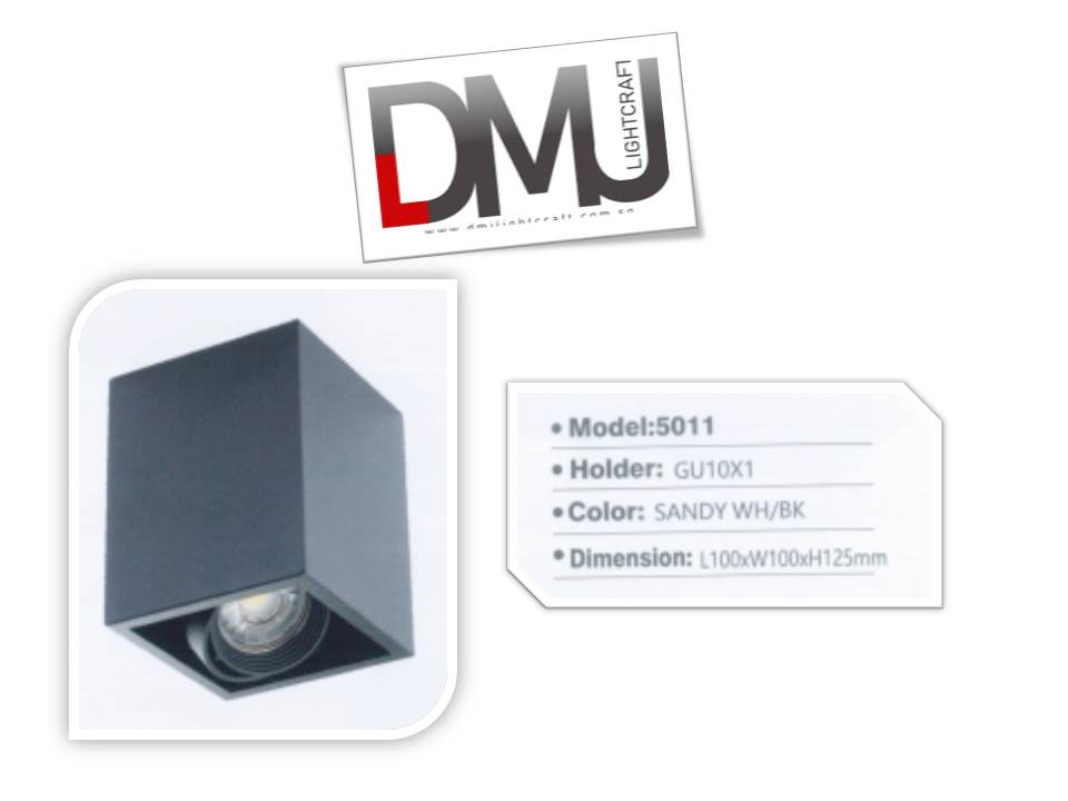 SURFACE MOUNTED CEILING LAMP CL5011/1L CL5012/2L CL5013/3L ( WHITE/BLA ...