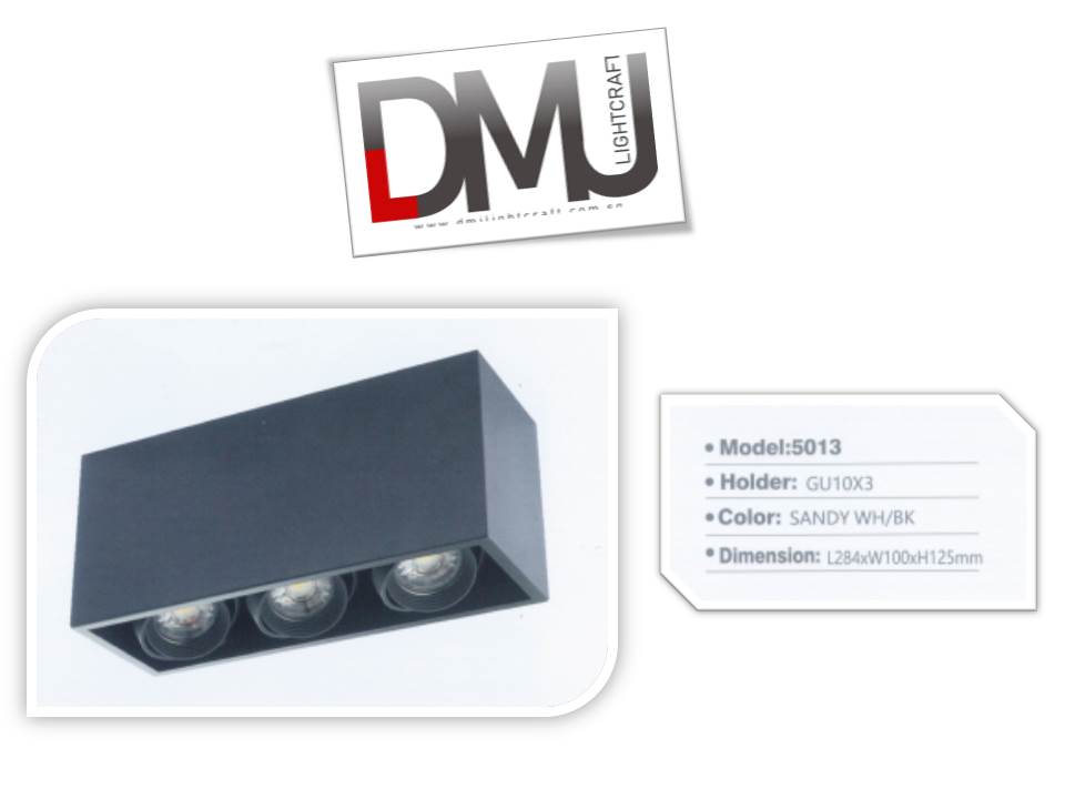 SURFACE MOUNTED CEILING LAMP CL5011/1L CL5012/2L CL5013/3L ( WHITE/BLA ...